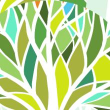 Tree Planting Prayer In Honor Of Laudato Si' | Catholic Climate Covenant