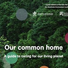Our Common Home A Guide To Caring For Our Living Planet | Catholic ...