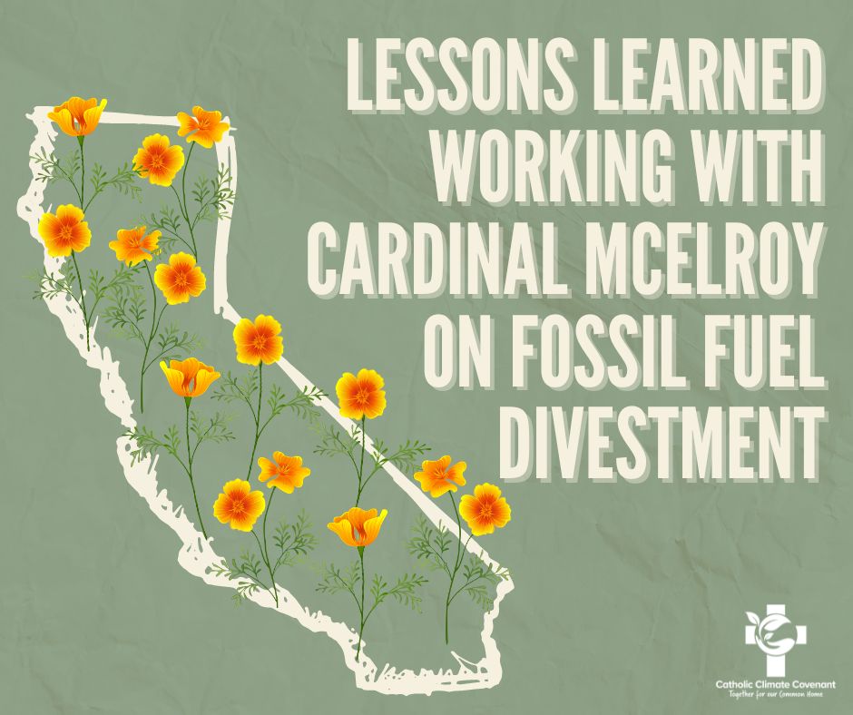 Lessons Learned Working With Cardinal McElroy On Fossil Fuel Divestment ...