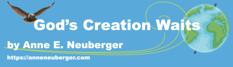 ‘God’s Creation Waits’: New Resource Designed To Help Children ...