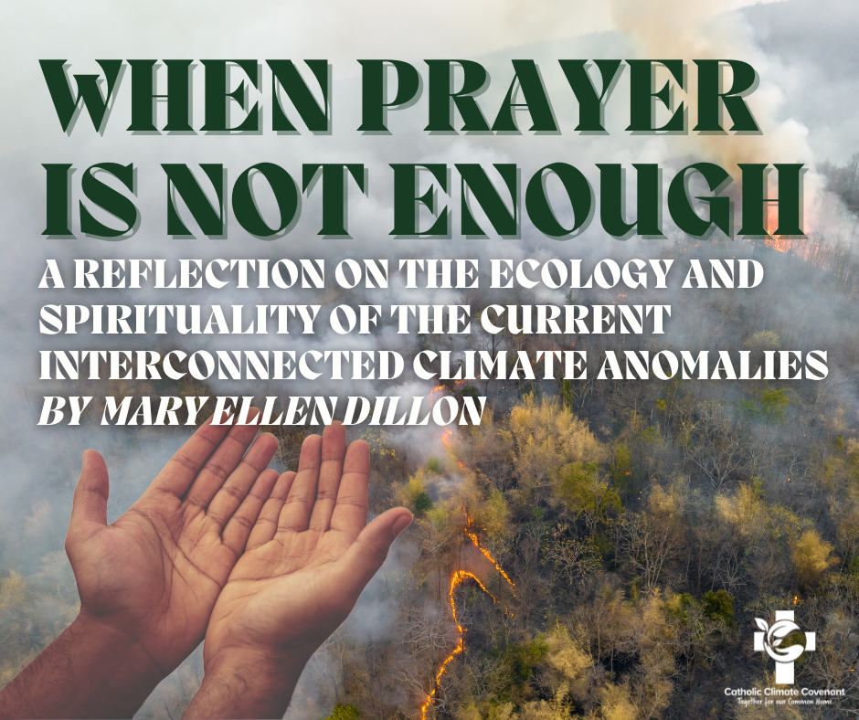 When Prayer Is Not Enough | Catholic Climate Covenant