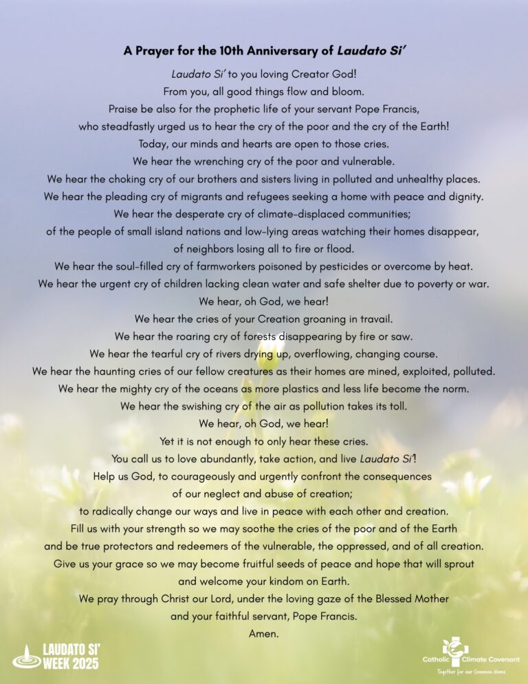A Prayer For The 10th Anniversary Of Laudato Si' | Catholic Climate ...
