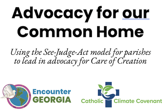 How To Train Your Parish To Engage In Environmental Advocacy | Catholic ...
