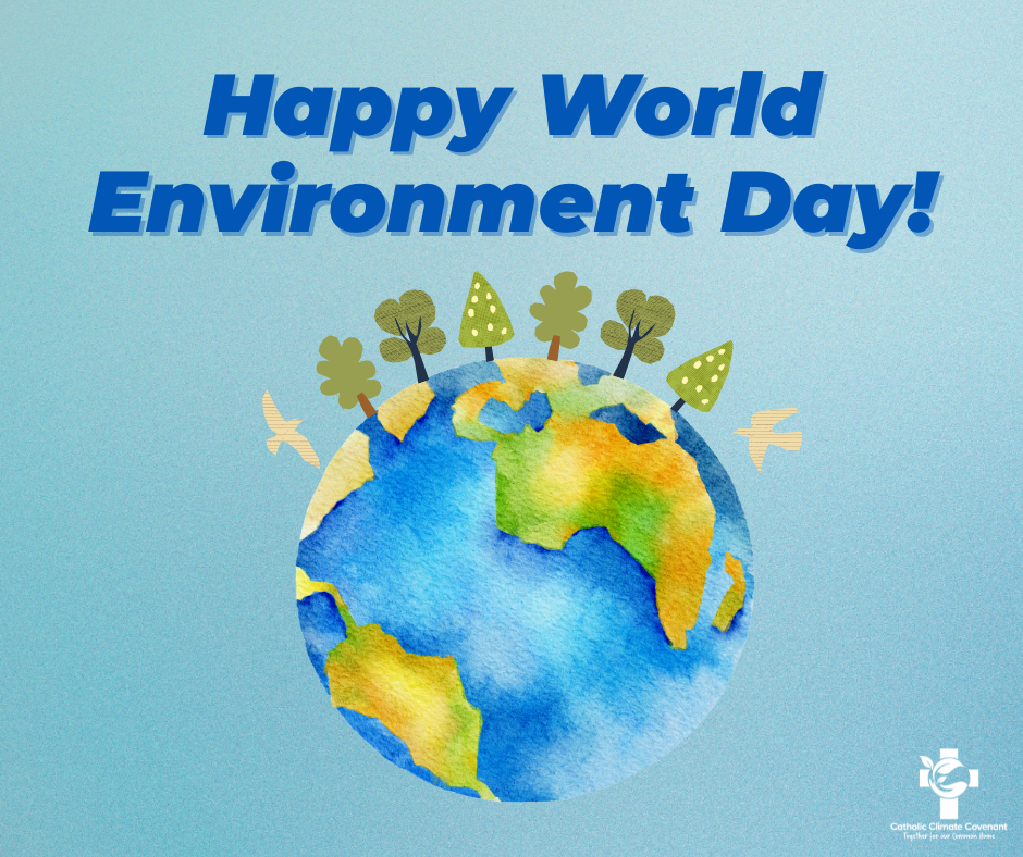A Sacred Responsibility: Reflecting On World Environment Day | Catholic ...