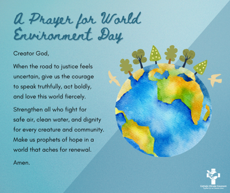 A Sacred Responsibility: Reflecting On World Environment Day | Catholic ...