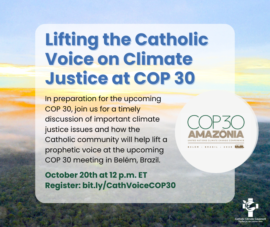COP30: A Preview Of The Annual Summit In Brazil | Catholic Climate Covenant
