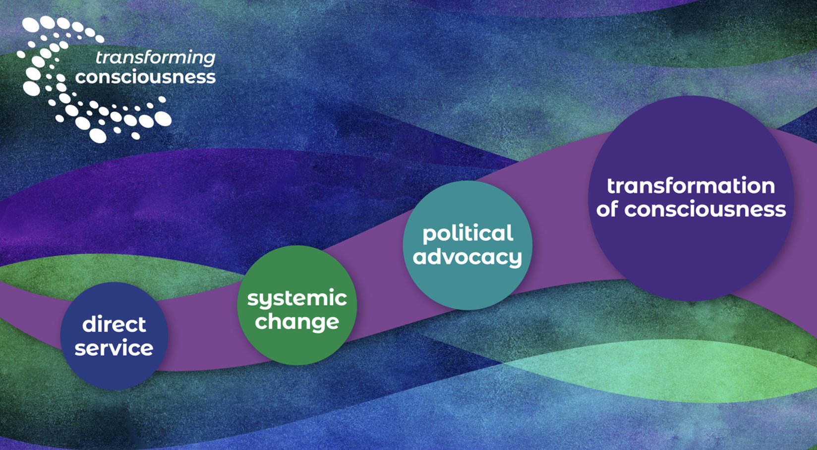 Women Religious: Leading The Way On Laudato Si’ And The Synodal Process ...
