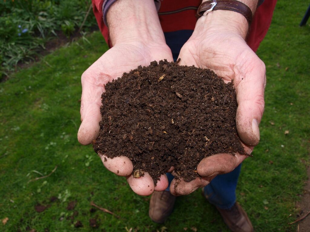 Composting: Turning Waste Into Grace | Catholic Climate Covenant