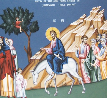 Homily Helps, March 2026 (Cycle A) | Catholic Climate Covenant